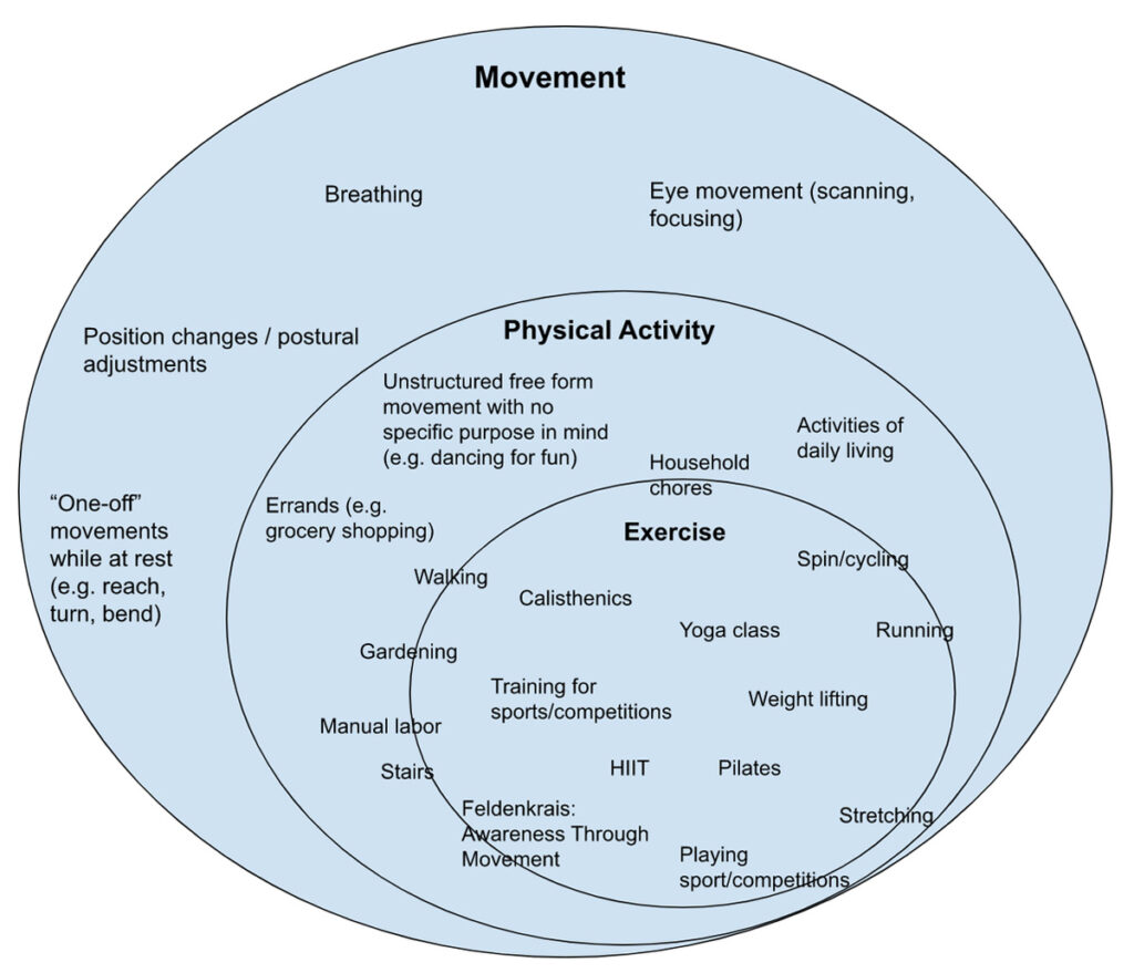 Movement, Physical Activity, And Exercise – Is There A Difference ...