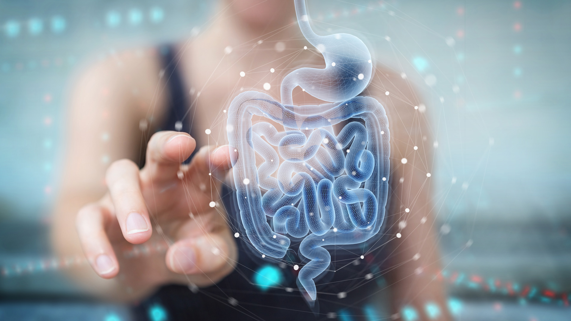 Microbiome-Targeted Exercise Protocols: The Gut-Performance Connection ...
